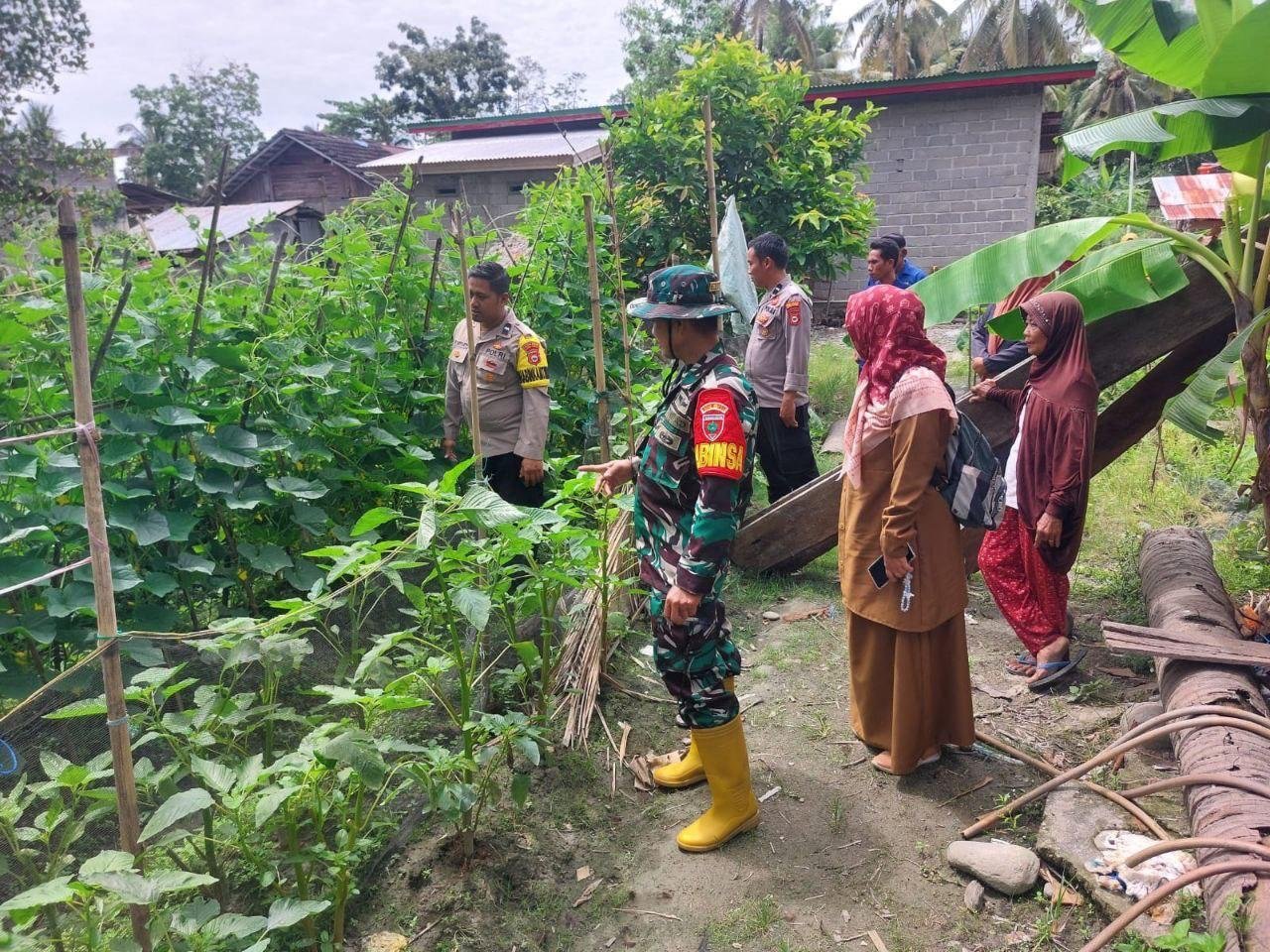 Koramil 1403-12/Bone-Bone Dukung Ketahanan Pangan Lewat Program Pekarangan Pangan Lestari ...